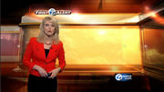 Hally Vogel - WXYZ 7 Detroit - TvNewsCaps